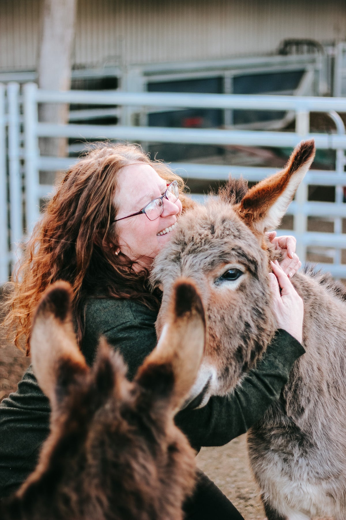 A beautiful haven - Rosehaven Farms – OAK Magazine